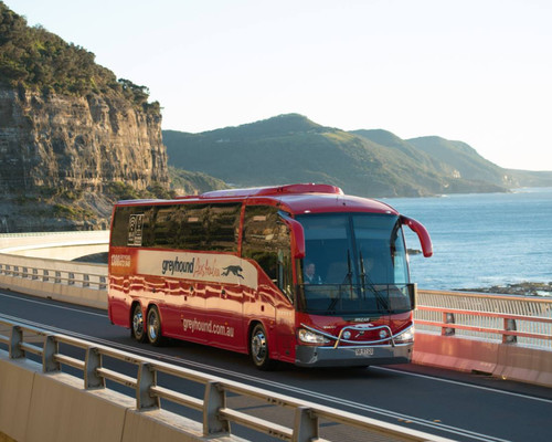 [SALE] Comfortable Greyhound Bus Transfers from Brisbane - Ticket KD