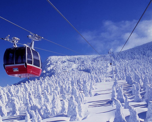 [SALE] Zao Ropeway Round-Trip Tickets at 2% Discount - Ticket KD