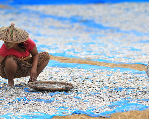 [SALE] Explore Thandwe Market and Landmarks with 20% Discount - Ticket KD